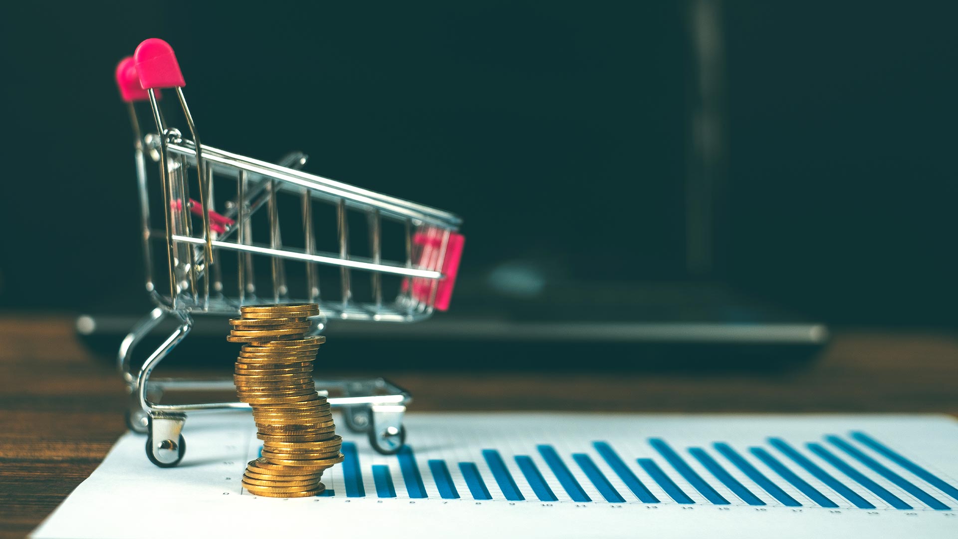 Consumer Inflation | Aluma Capital (Pty) Ltd